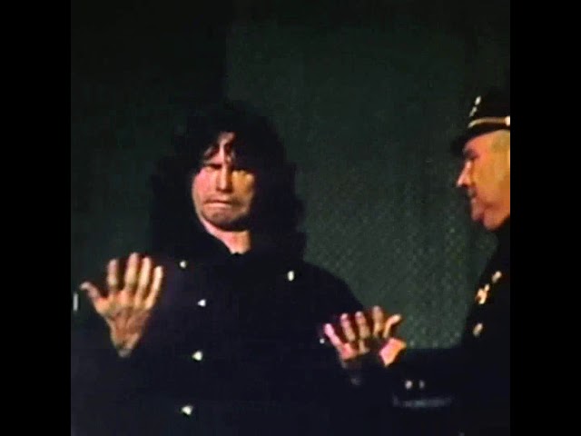 Jim Morrison On Stage Arrest Rock Star Real Estate: Facts About Jim